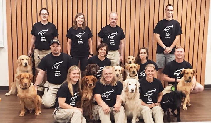 26 Dog Training Slogans & Sayings - Custom Ink Blog